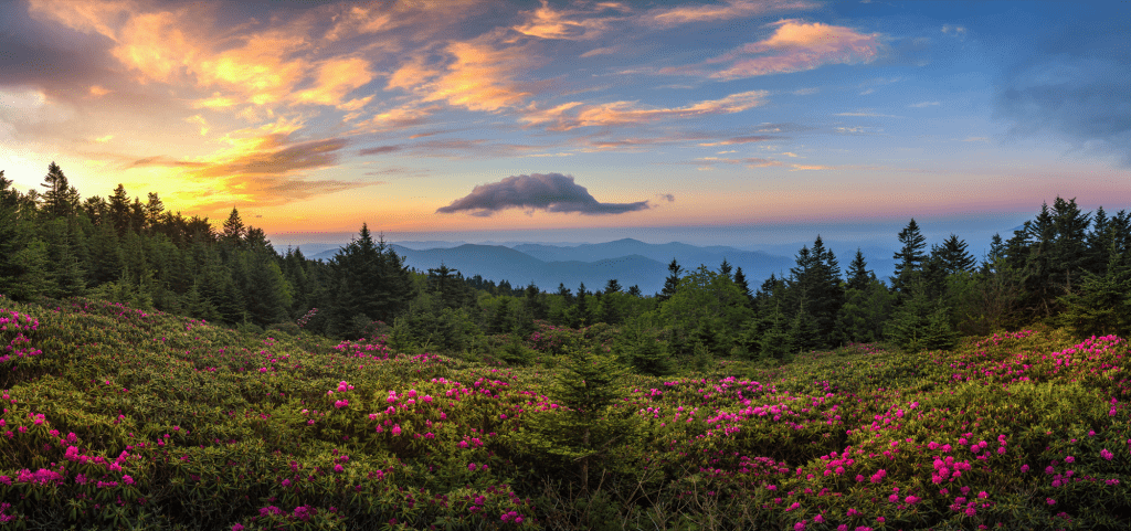 Close Quarters — Appalachian Spring | Los Angeles Chamber Orchestra
